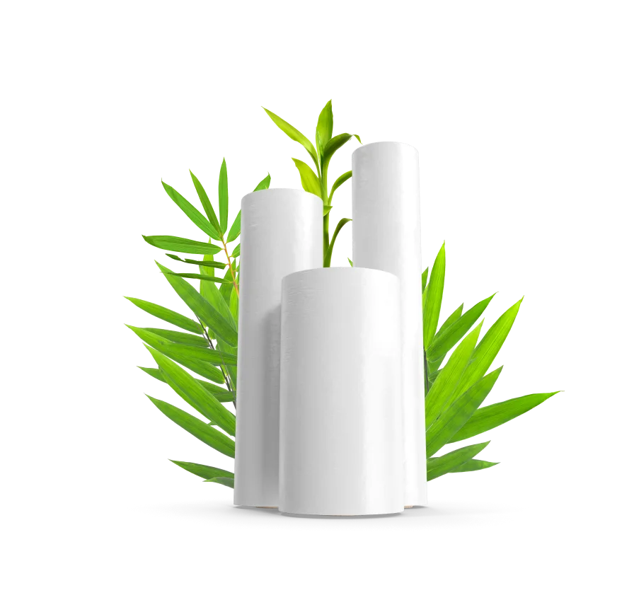 Bgreen | Bomark Pak